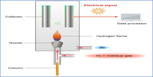 Gas Chromatography Detector (Type of GC Detectors) - PharmaSciences