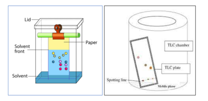 Difference Between Thin Layer and Paper Chromatography - PharmaSciences