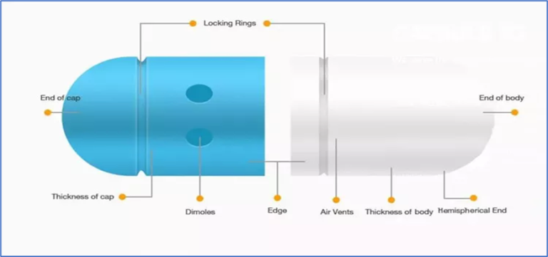 Type of Capsules - PharmaSciences